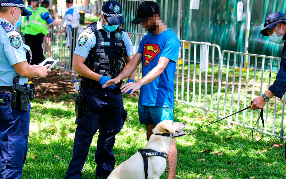 NSW sniffer dogs to stay