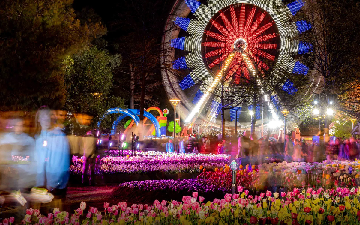 Don't miss these unforgettable events in Canberra